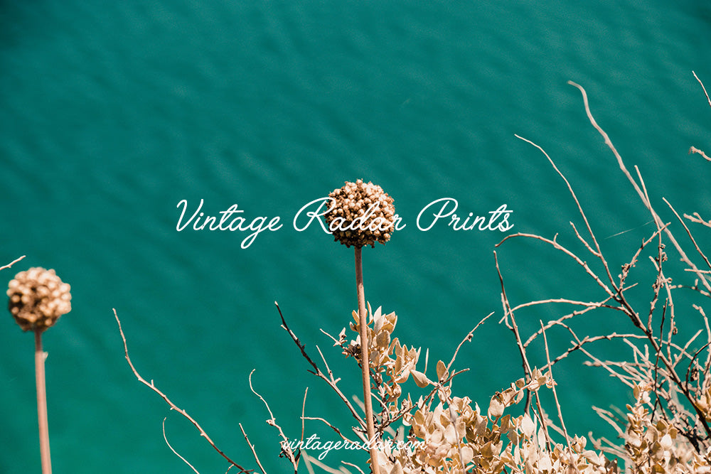 Wildflower Turquoise Print | Flower Digital Print | Printable Wall Art ...